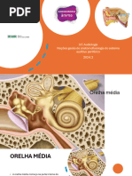 Anatomia e Função da Tuba Auditiva | PDF | Audição | Anatomia humana