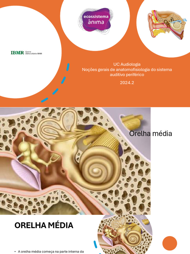 Anatomia da Orelha Média e Funções | PDF | Orelha | Audição