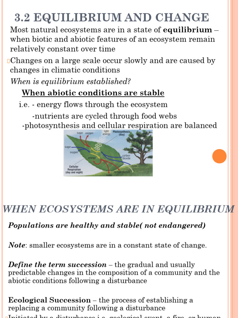 Chapter 3 Notes | PDF