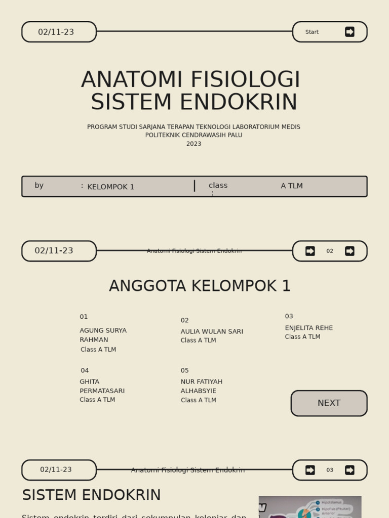 Sistem Endokrin Anfis | PDF