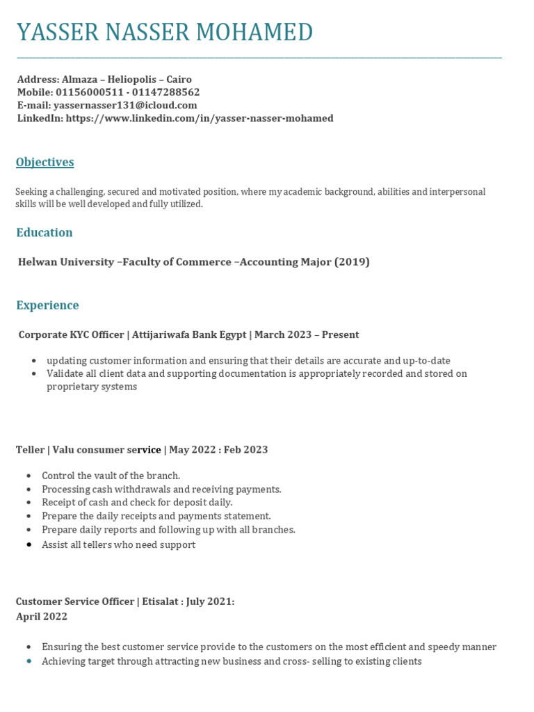 Yasser Nasser CV 2024 | PDF