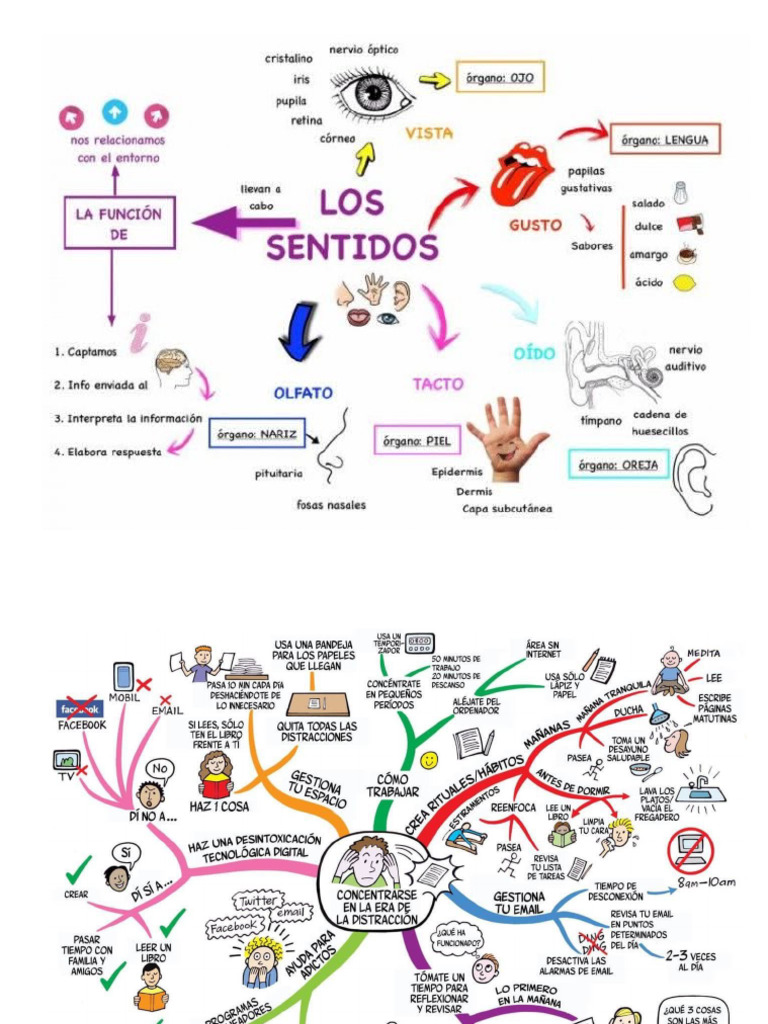 Ejemplo mapa mental (2) | PDF