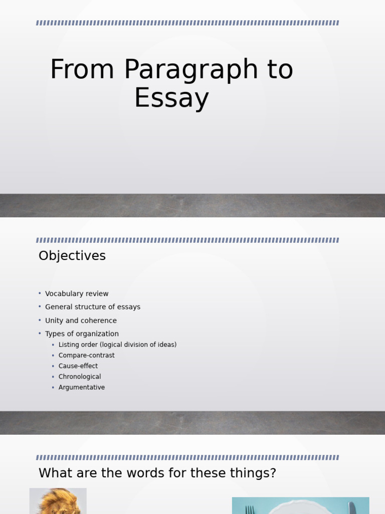 Introduction To Essays | PDF