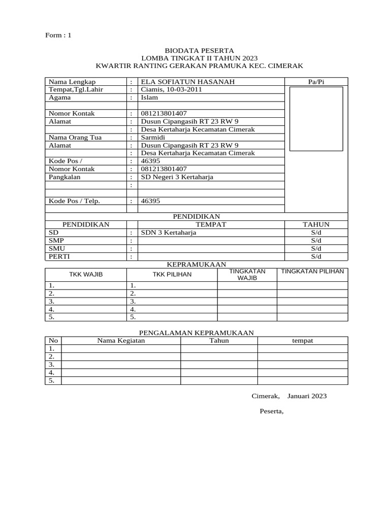 BIODATA LT 2 ELA | PDF