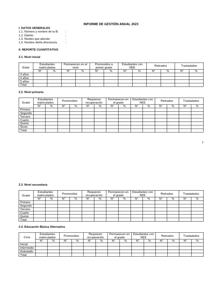 Formato IGA 2023 | PDF