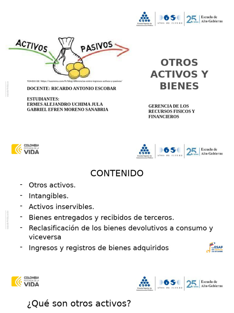 Activos y Bienes | PDF