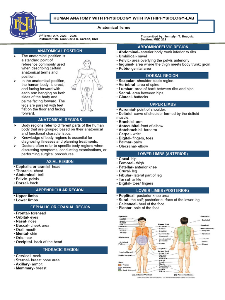 Reviewer Anaphy Lab | PDF