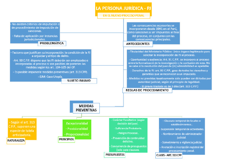 Persona JurÃ Dica en El NCPP - Angela Cisneros . | PDF