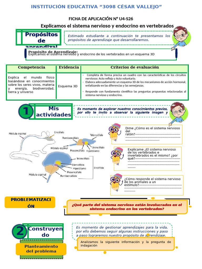 U4-S26 Guia | PDF