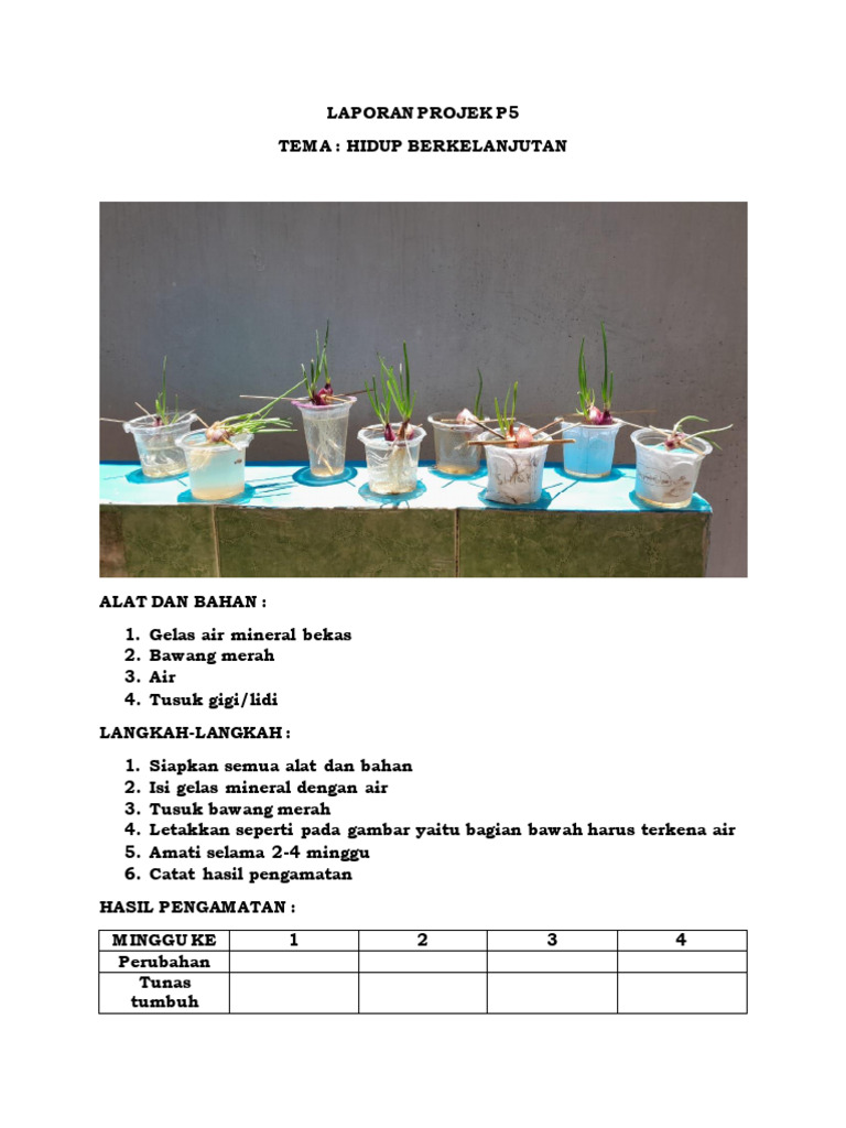Dokumen 3 Laporan Projek P5 | PDF