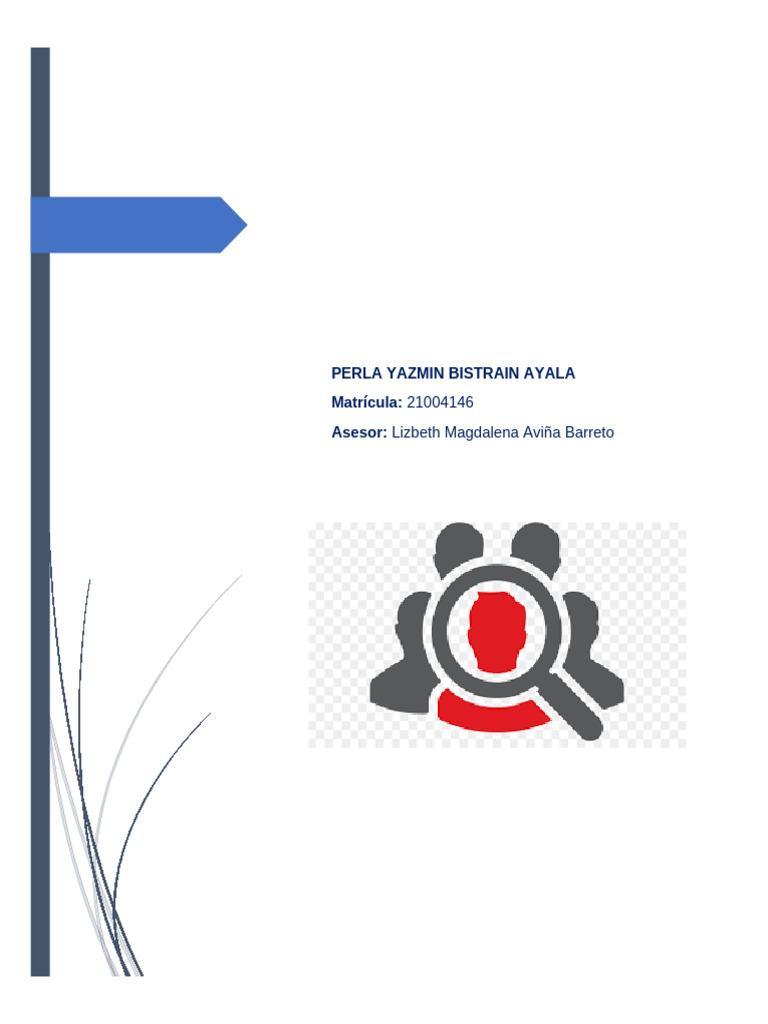 Bistrain Perla Definiendo El Mercado Meta | PDF | Hotel | Producto (Negocio)