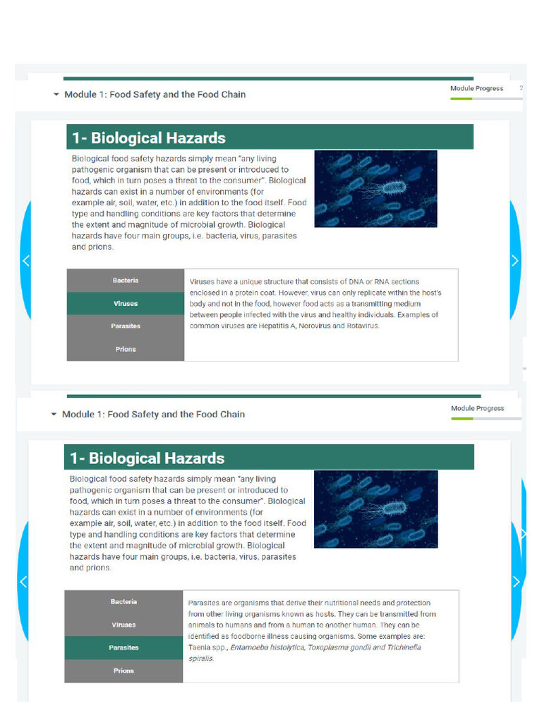 Food Safety and Food Chain | PDF