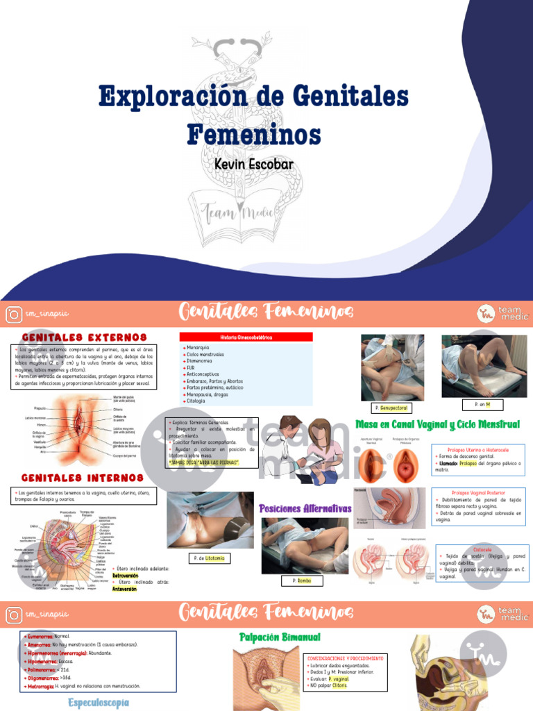 Exploracion de Genitales Femeninos | PDF