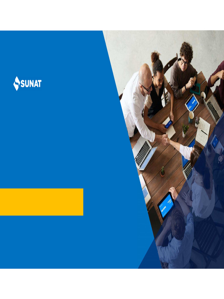 T Registro Plame Sunat | PDF