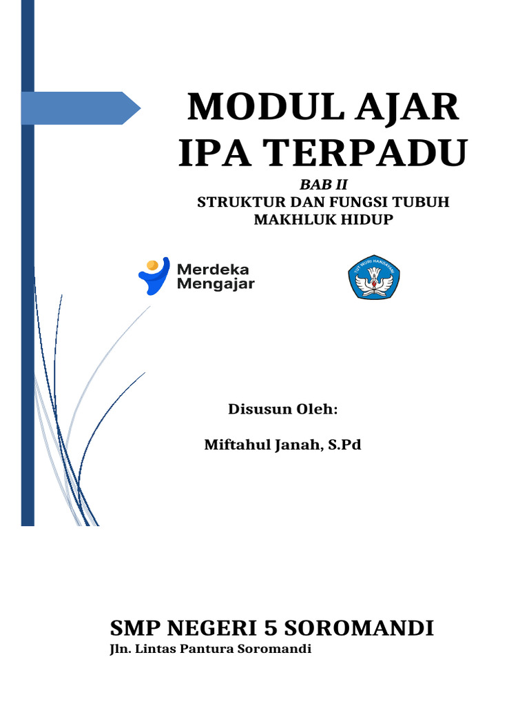 2.1 Ma I Ipa Viii | PDF