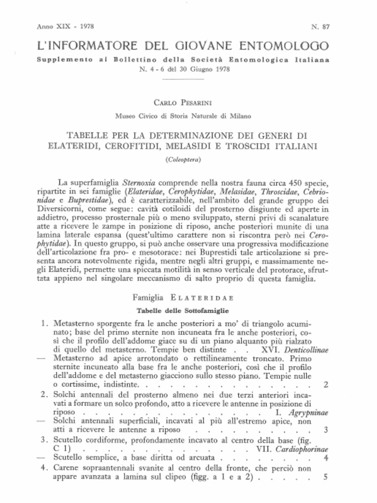 informatore-87-89-pdf