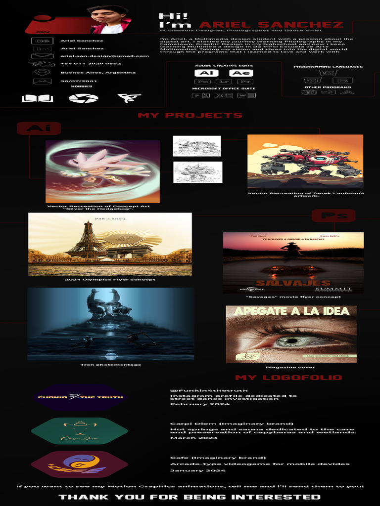 Portfolio Sanchez Ariel 2024 | PDF