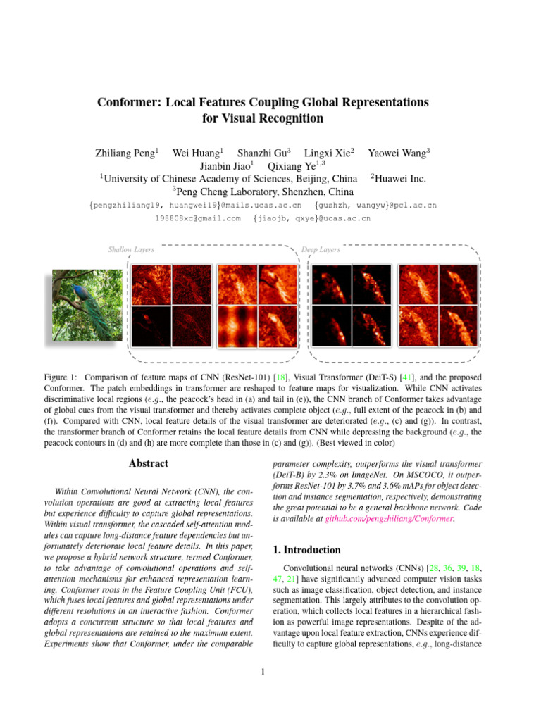 Conformer: Local Features Coupling Global Representations For Visual Recognition | PDF