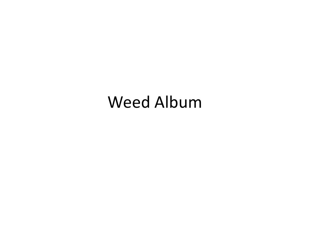 Weed Album | PDF