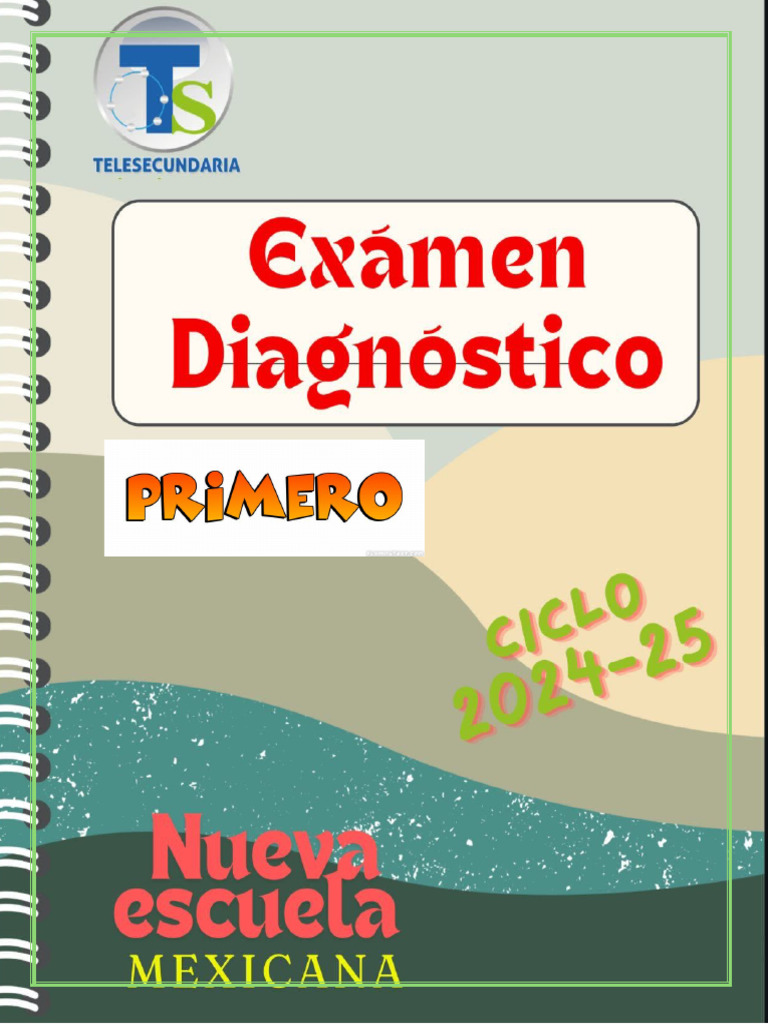 Examen Diagnã Stico - Primer AÑO | PDF