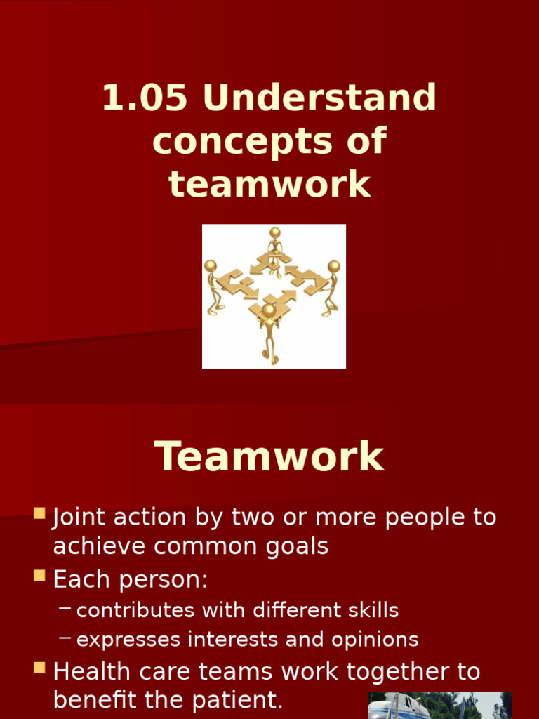 Understanding The Concept of Teamwork | PDF | Goose | Leadership
