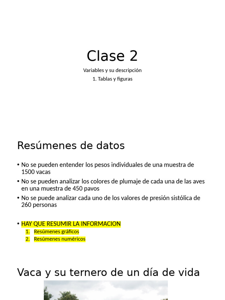 Clase 2 | PDF