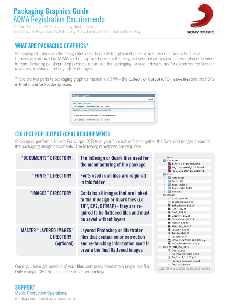 SonyMusic PKGFs Guide v3 | PDF