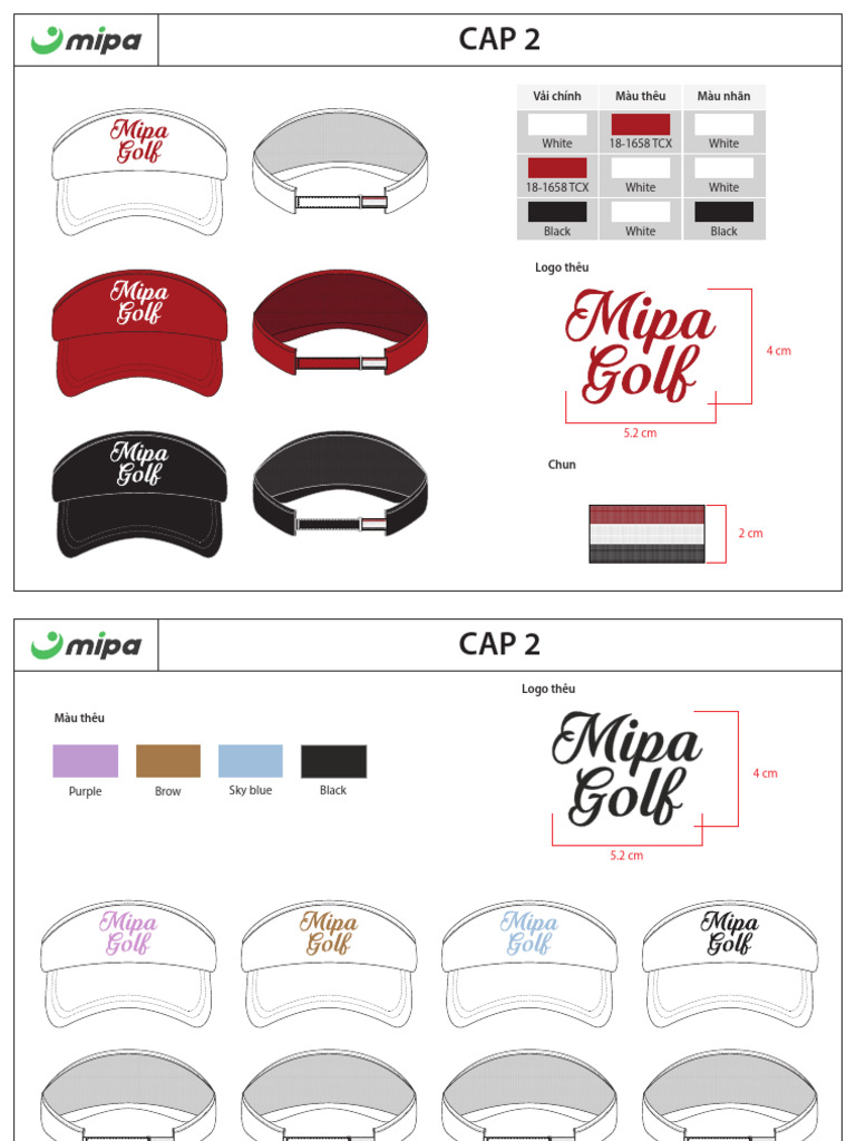 MIPA - CAP 2 Cũ | PDF