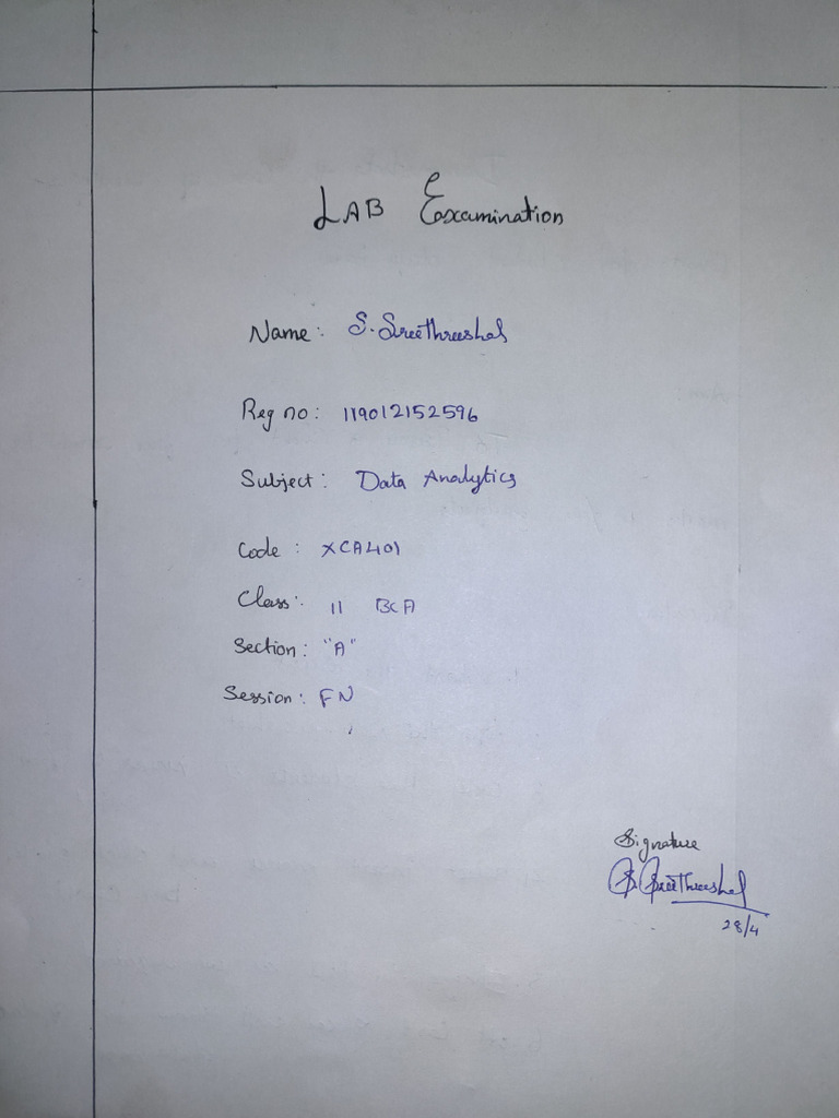 Data Analysis Lab Exam | PDF