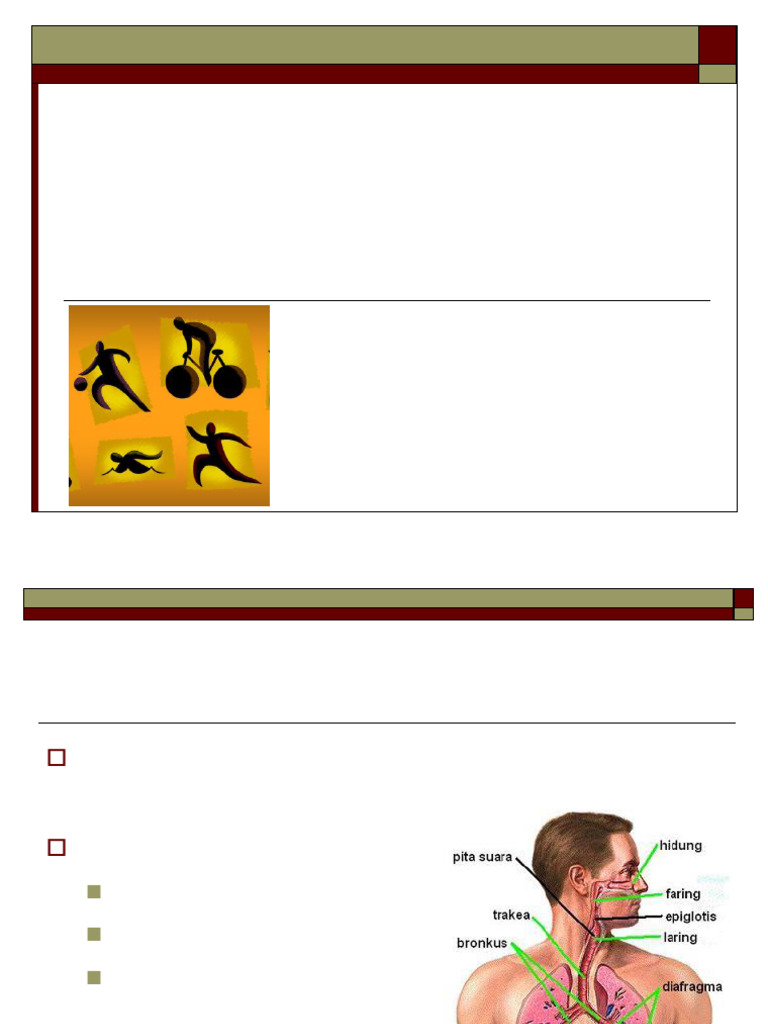 Ilmu Faal 2 Pok Adaptaisi Kronis Dan Akut | PDF