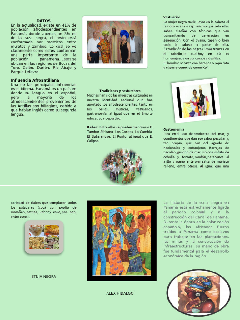 Etnia Negra | PDF