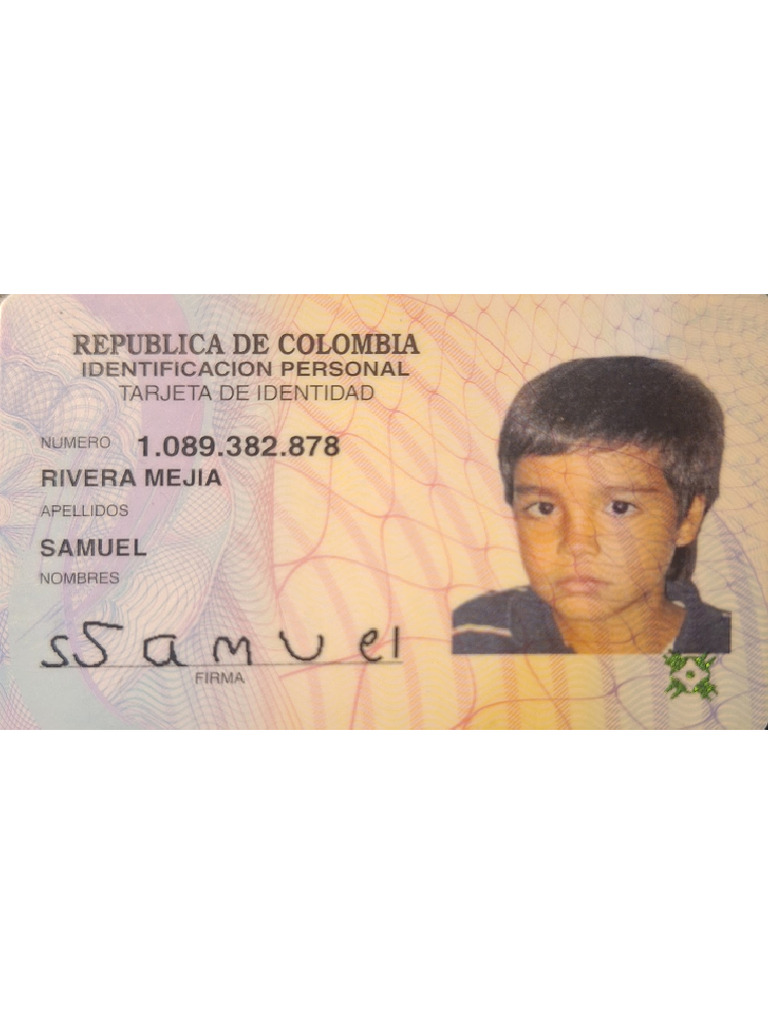 Documento de identidad | PDF