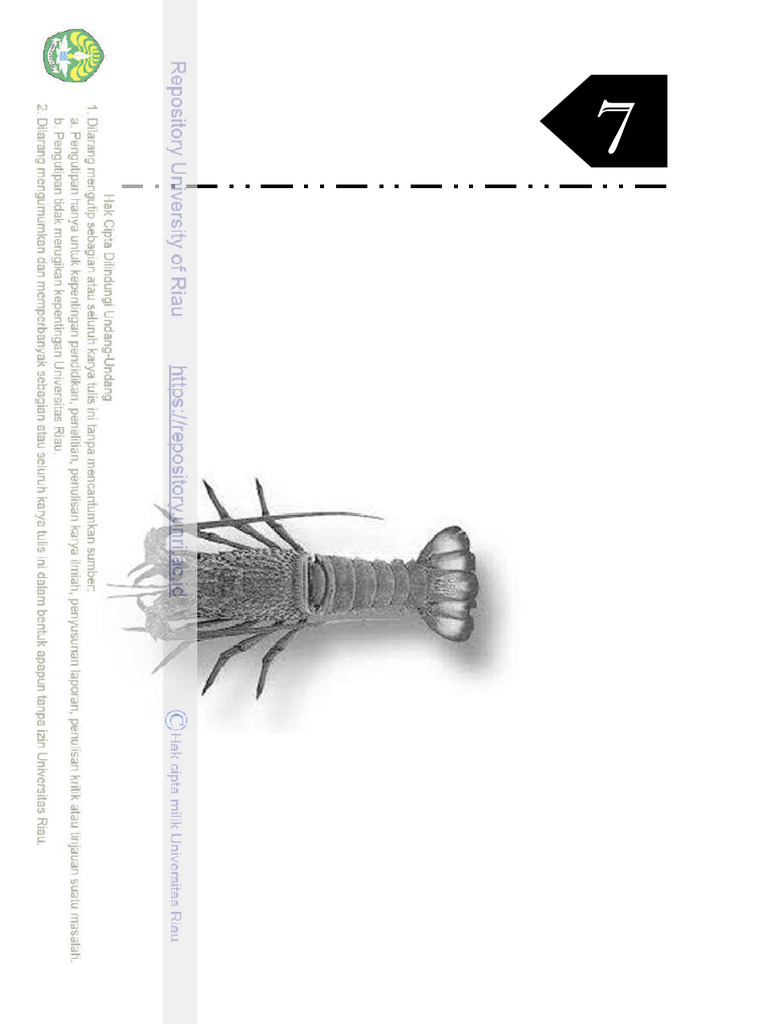 Bab7 Compressed | PDF