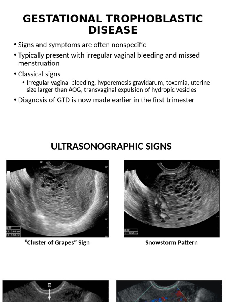 For Complete Mole | PDF