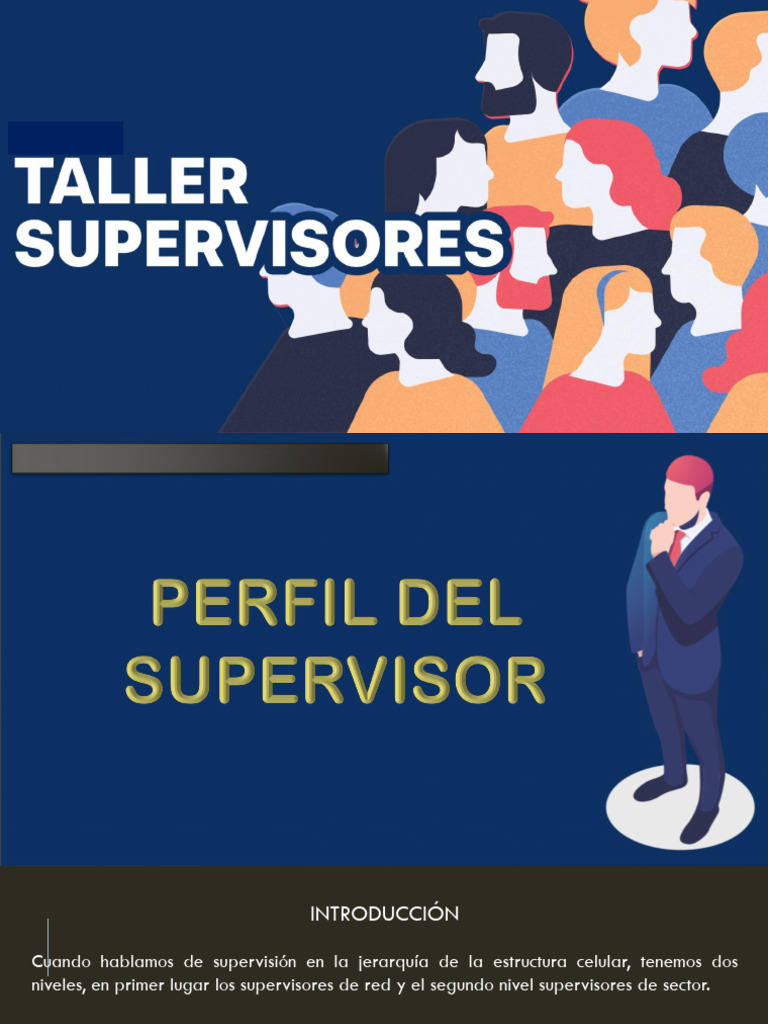 Perfil Del Supervisor | PDF