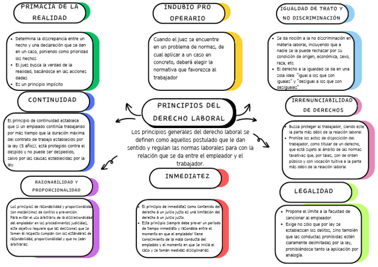 PRINCIPIOS DEL DERECHO LABORAL | PDF