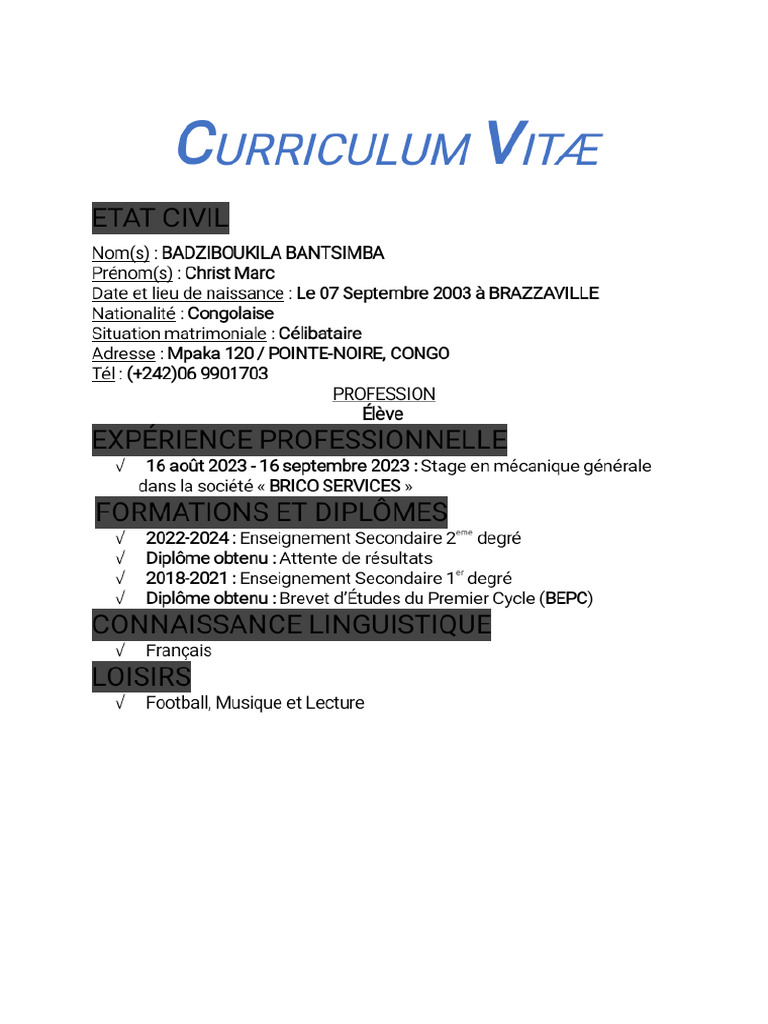 CV CHRIST Marc | PDF