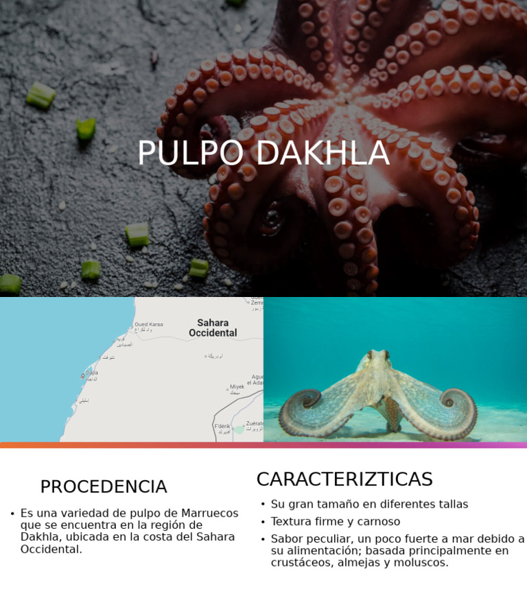 Pulpo Dakhla | PDF