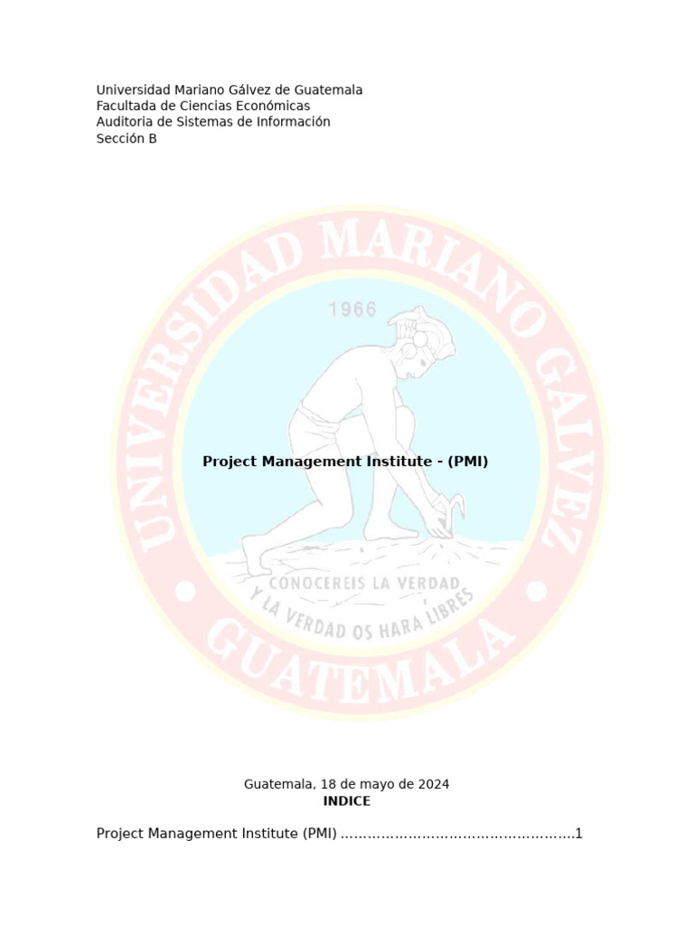 PMI Project Management Institute | PDF