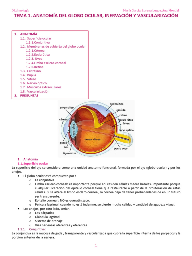 TEMA 1 Oftalmo | PDF