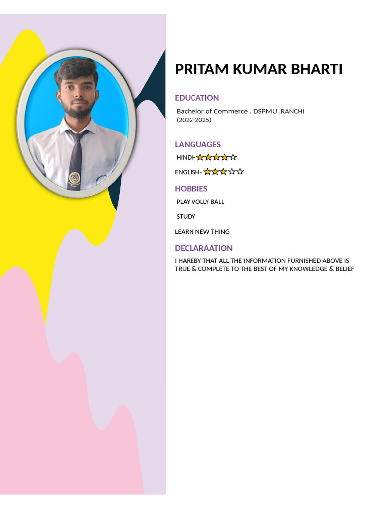 Pritam Resume | PDF