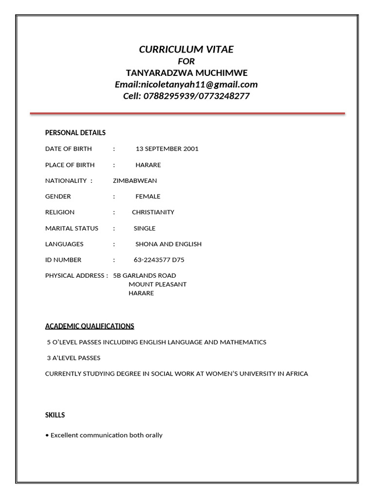 Tinashe CV | PDF
