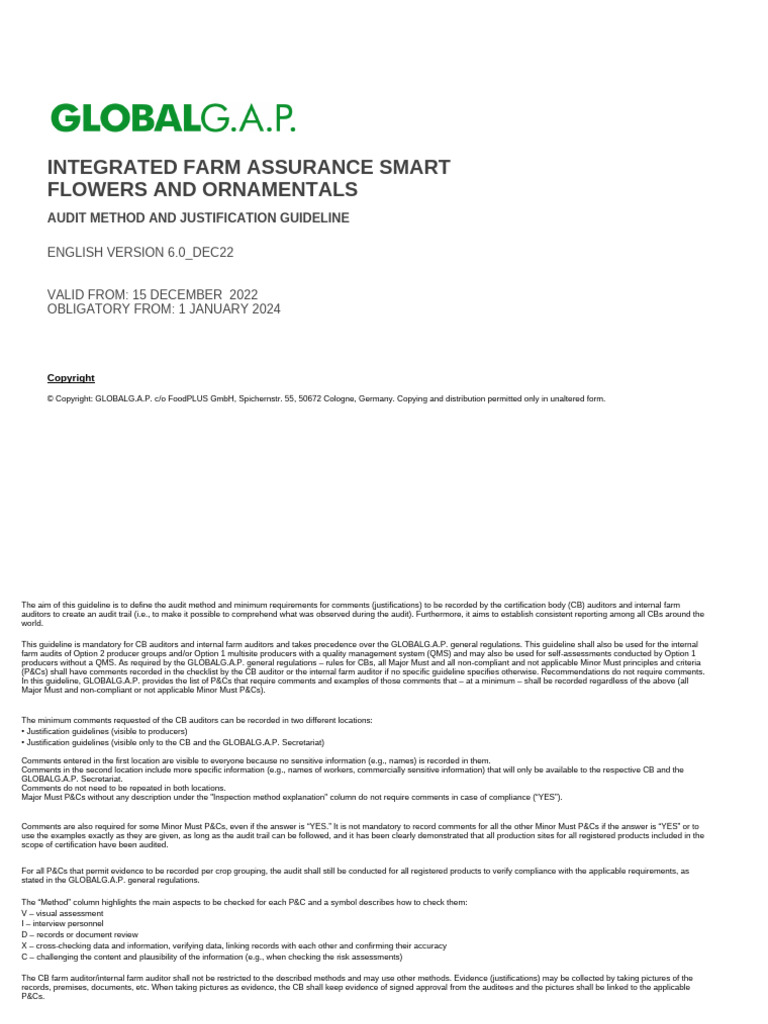 IFA Smart Audit Method Guideline FO v6 0 Dec22 Protected en | PDF