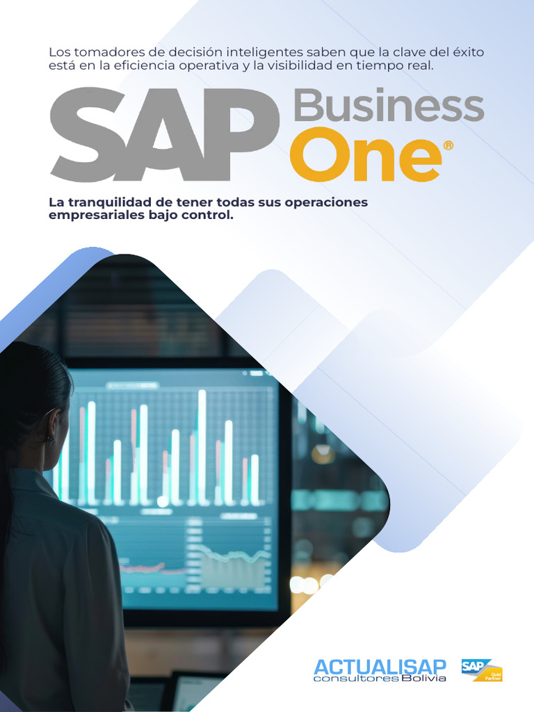 Brochure SAP Business One | PDF