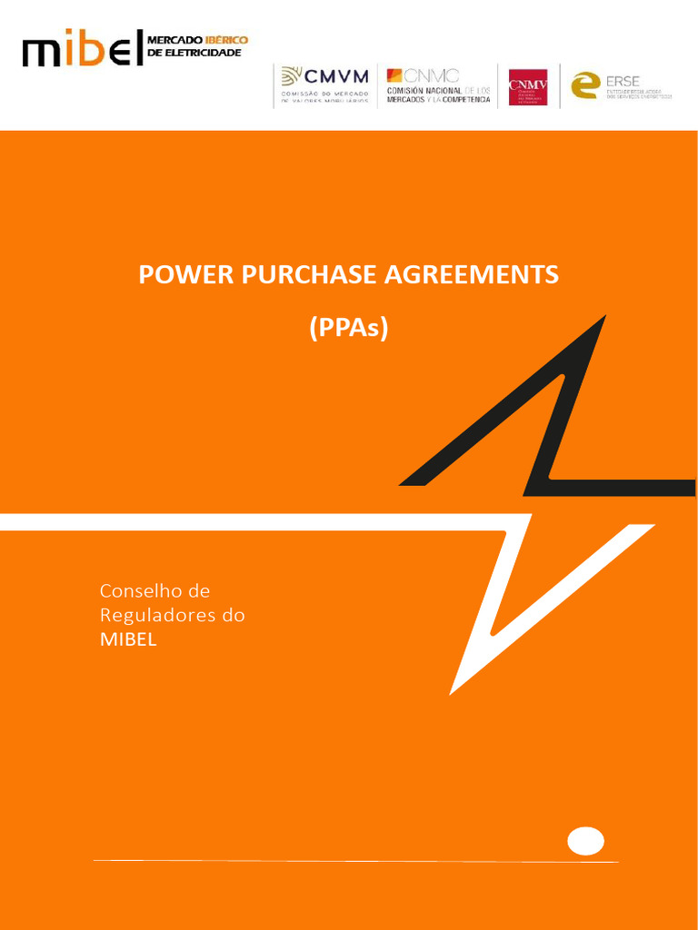 Estudo-PPAs_PT-3 | PDF