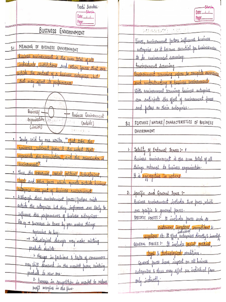 Class 12 Business Studies Notes Chapter 3 | PDF