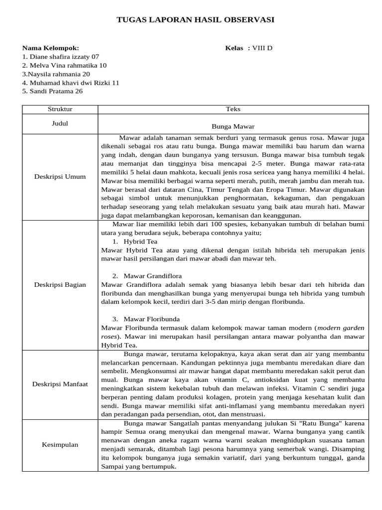 Tugas Laporan Hasil Observasi | PDF