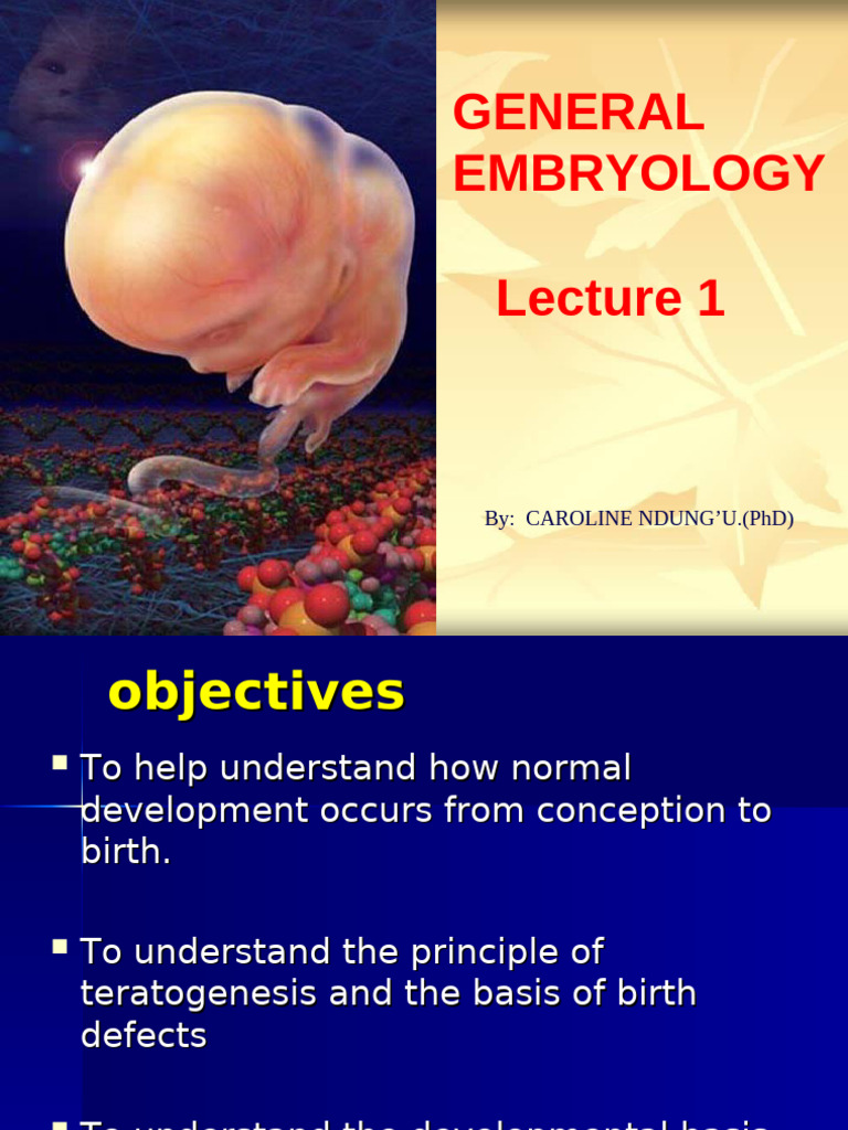 General Embryology Lecture 1 and 2 - Day 1-Third Week-1 | PDF