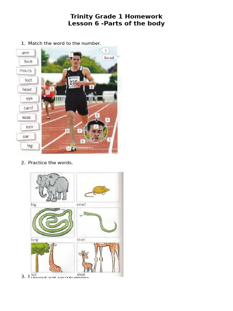 Lesson 6 - Parts of The Body | PDF | Language Arts & Discipline