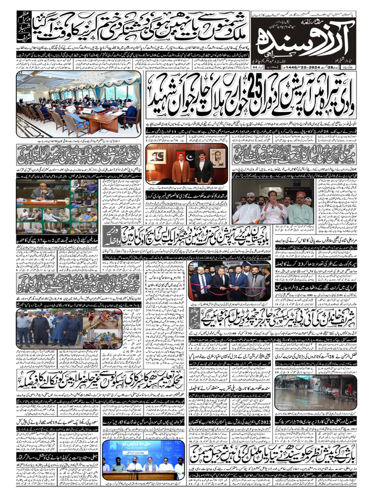 Arzo Sindh 28 Aug | PDF